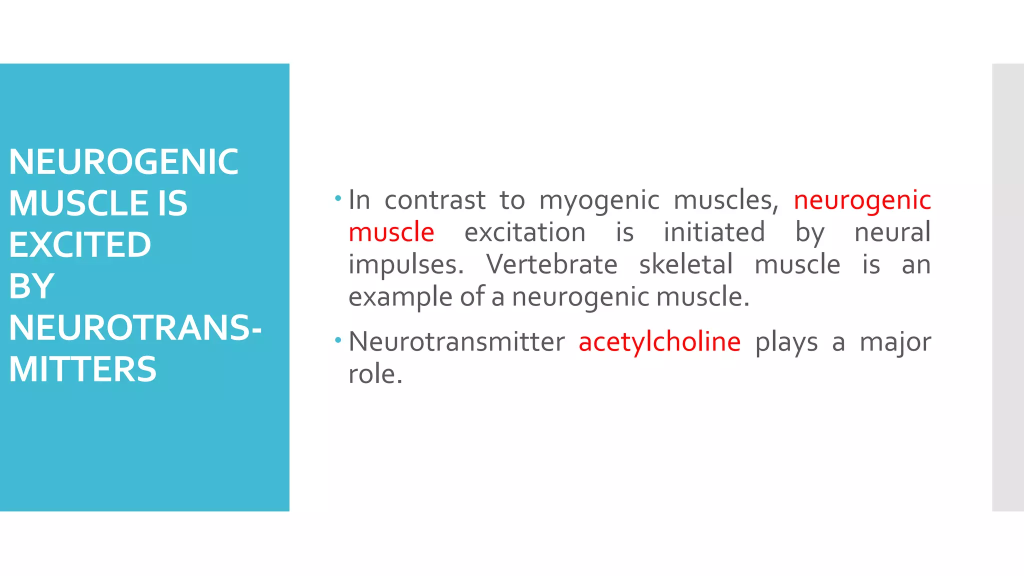 Heart- Myogenic heart . Mechanism of heart beat | PPTX