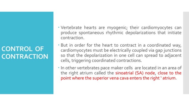 Heart- Myogenic heart . Mechanism of heart beat | PPTX