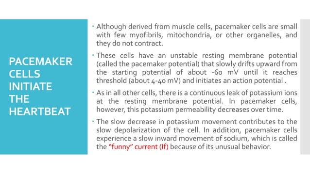Heart- Myogenic heart . Mechanism of heart beat | PPTX