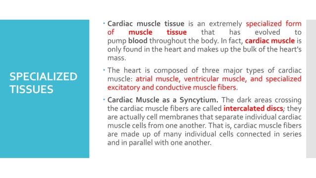 Heart- Myogenic heart . Mechanism of heart beat | PPTX