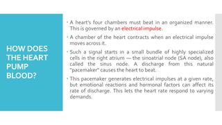 Heart- Myogenic heart . Mechanism of heart beat | PPTX