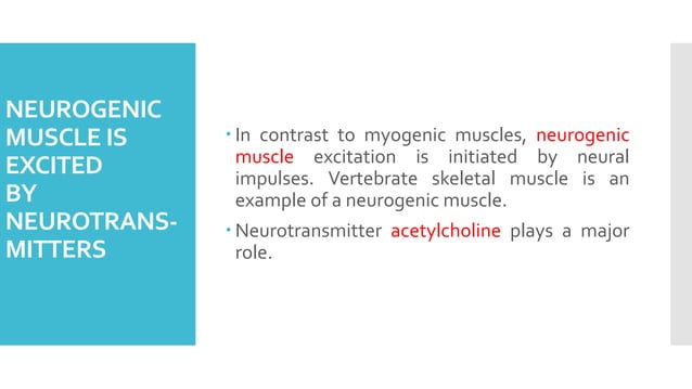 Heart- Myogenic heart . Mechanism of heart beat | PPTX