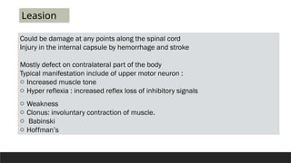 human physiology- desenting pathway;pyramidal and extra pyramidal.pptx
