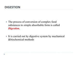 Human physiology digestion | PPT