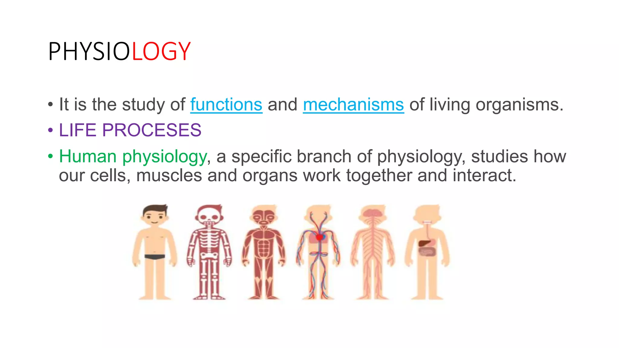 Human physiology git-foundation | PPTX