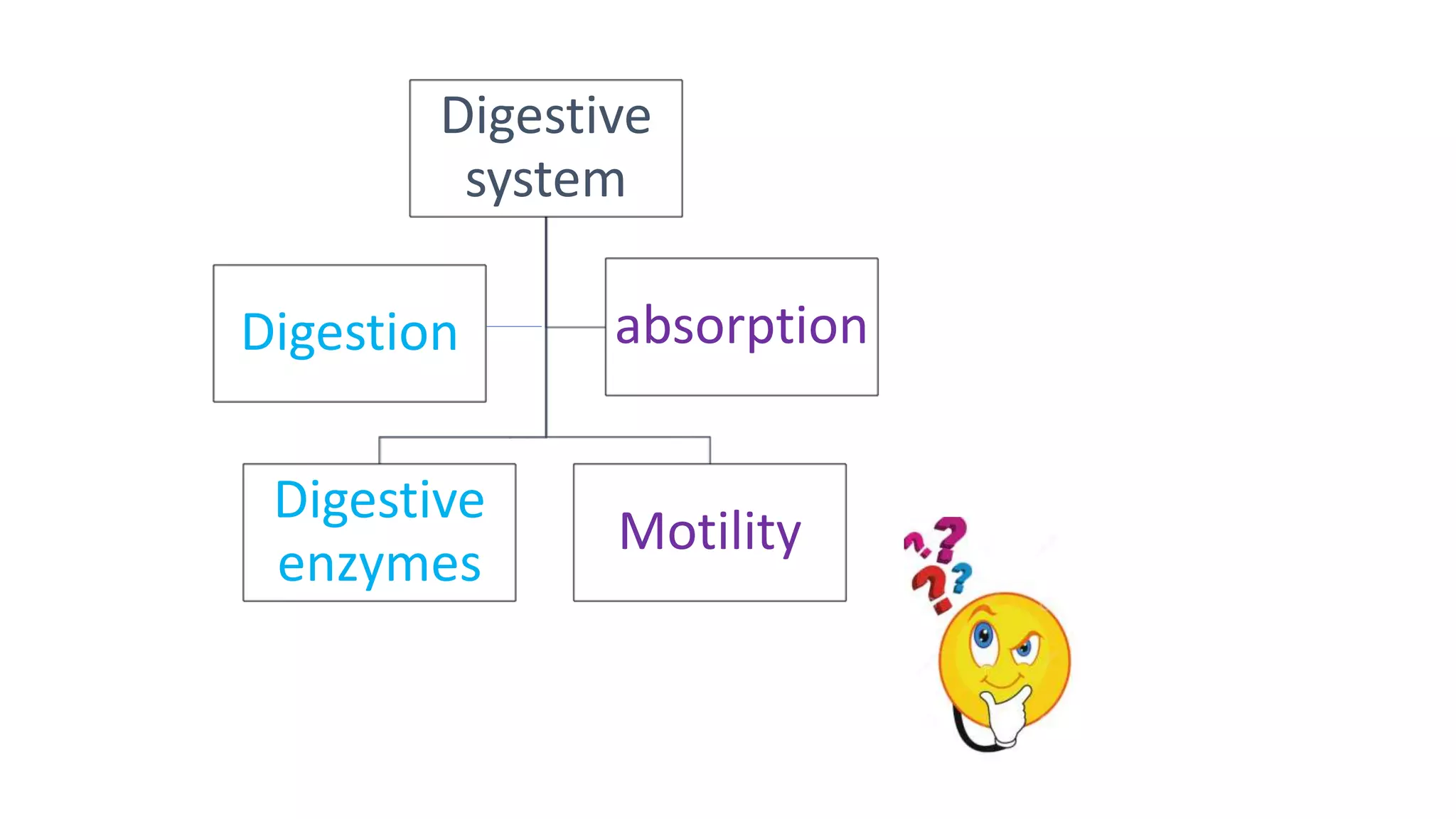 Human physiology git-foundation | PPTX