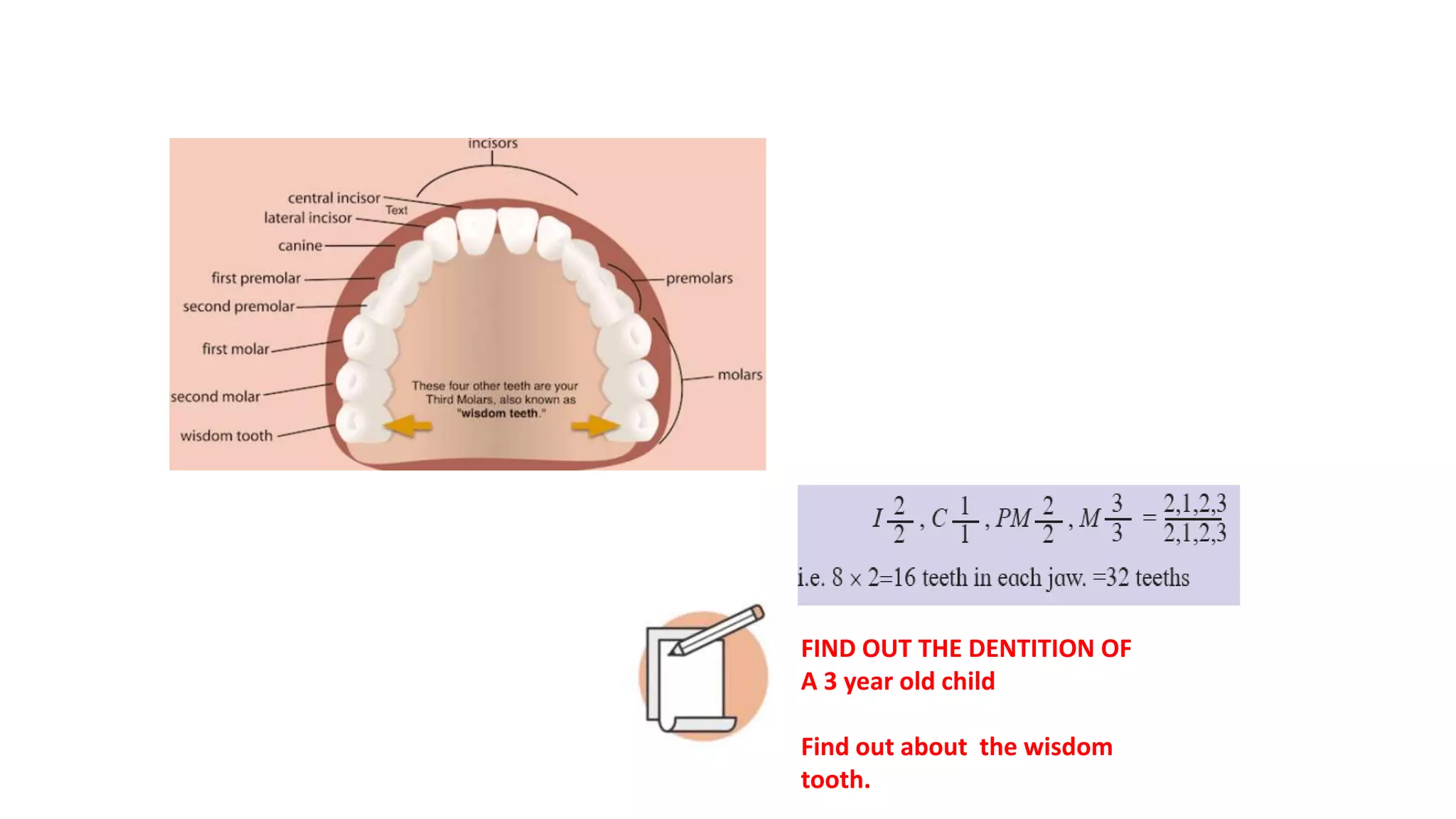 Human physiology git-foundation | PPTX
