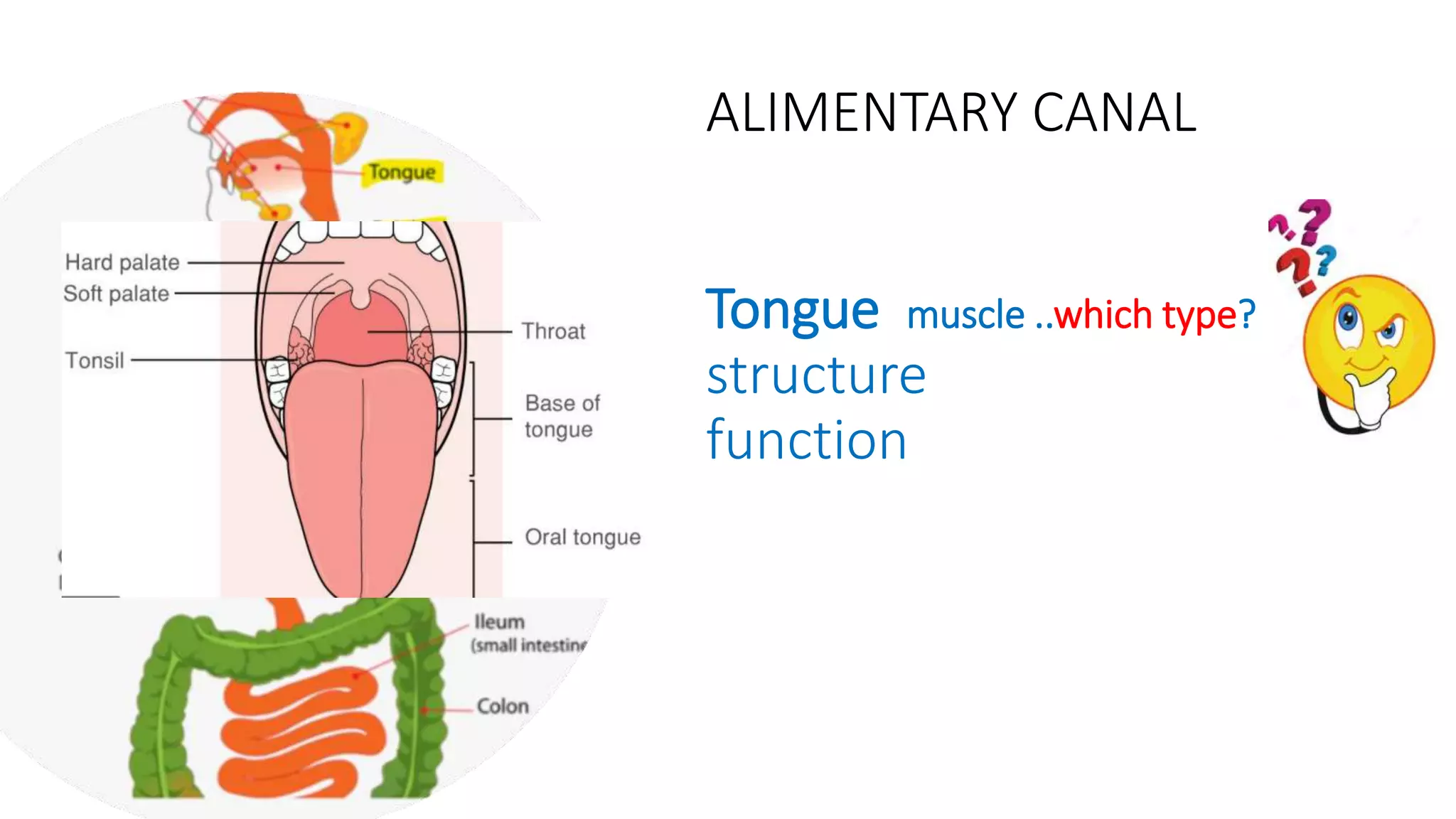 Human physiology git-foundation | PPTX