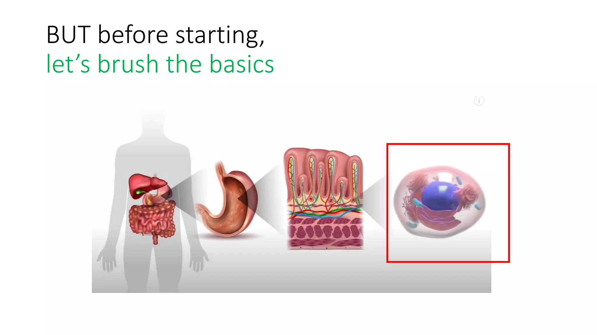 Human physiology git-foundation | PPTX