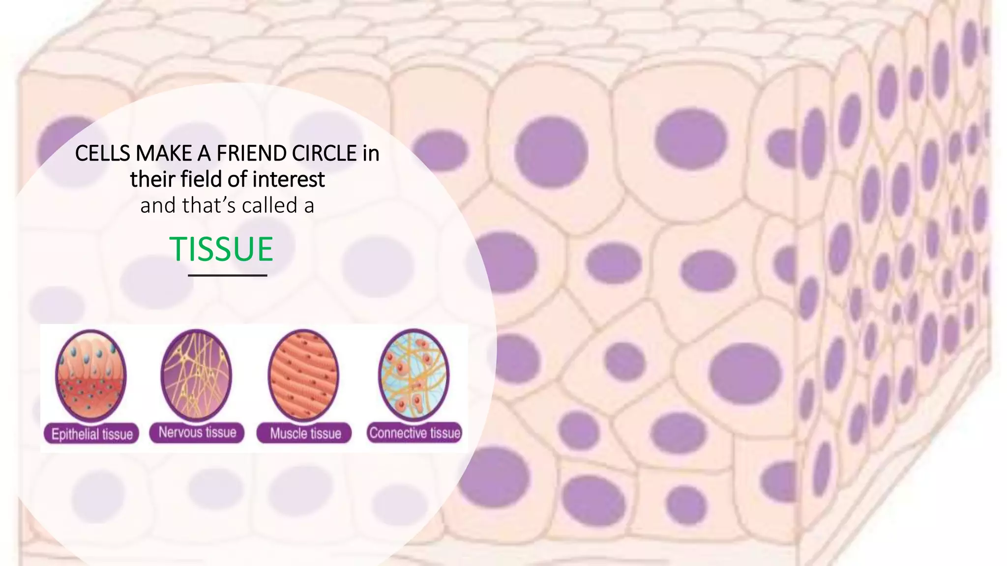 Human physiology git-foundation | PPTX