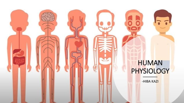Human physiology git-foundation | PPTX