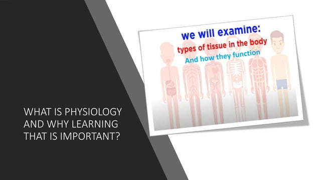 Human physiology git-foundation | PPTX