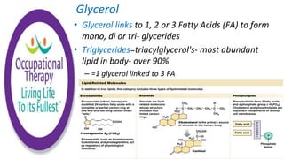 Human Physiology Biochemicals | PPTX