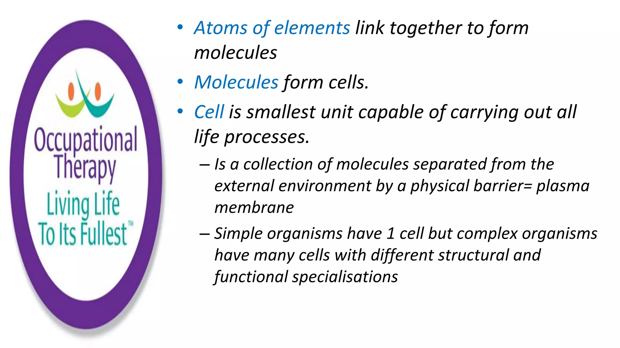 Human Physiology Chemistry | PPT