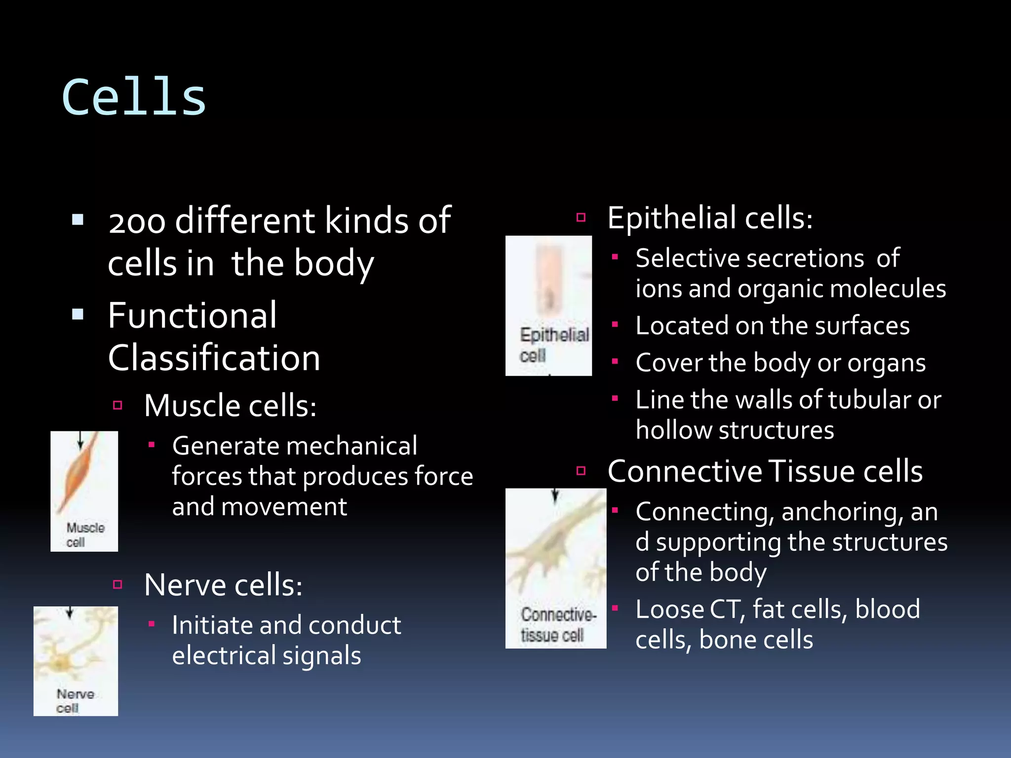 Human physiology part 1 | PPTX