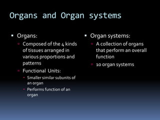 Human physiology part 1 | PPT