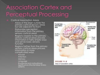 Human physiology part 5 | PPT
