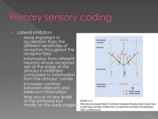 Human physiology part 5 | PPT
