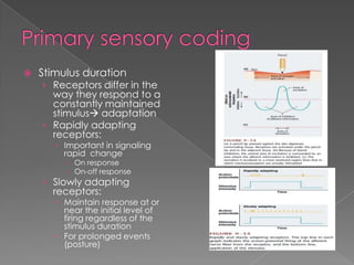 Human physiology part 5 | PPT