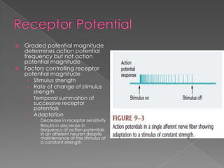 Human physiology part 5 | PPT