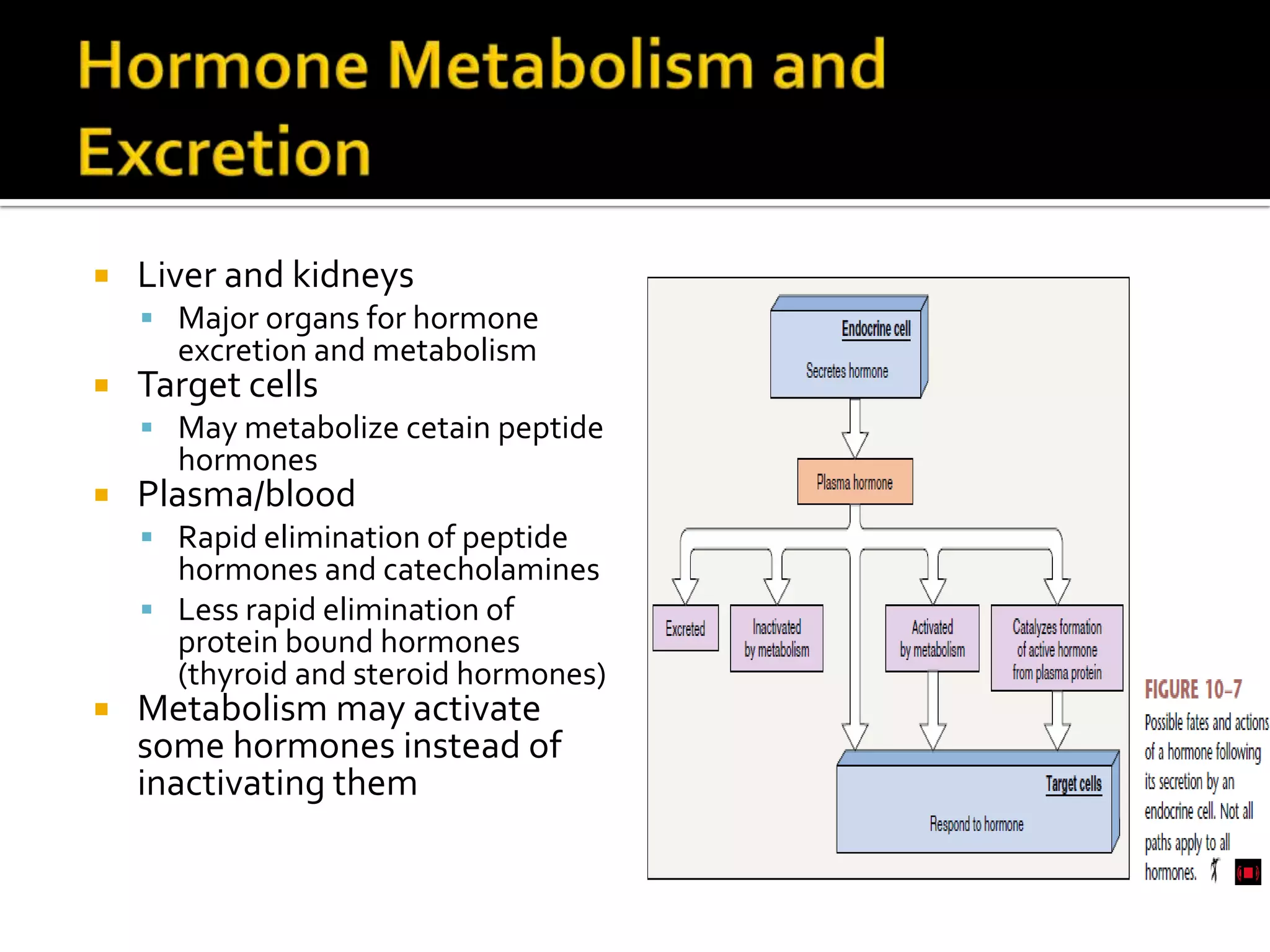 Human physiology part 6 | PPTX