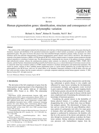 Human pigmentation genes: identification, structure and consequences of ...