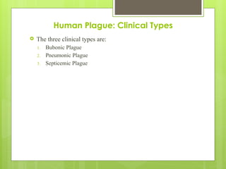 human plague detalied desription are given | PPT