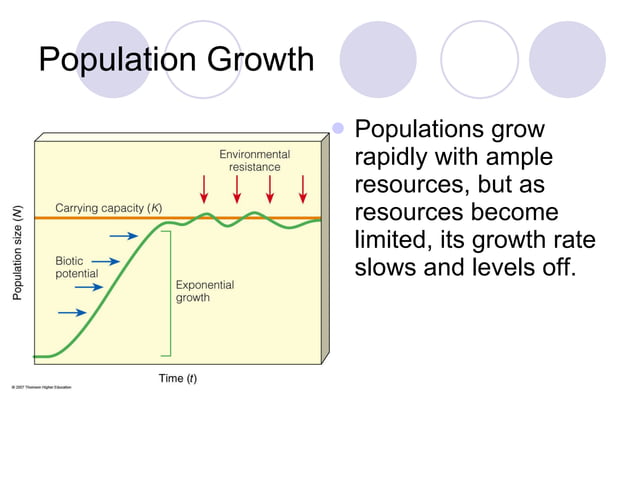 Human Population Dynamics | PPT