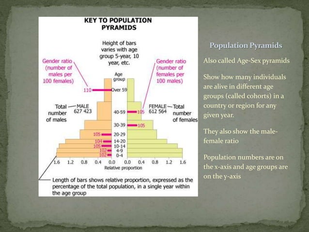3.1 Human population dynamics | PPT