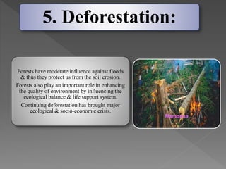 Human population explosion | Causes, Effects & solutions || by Mamoona ...