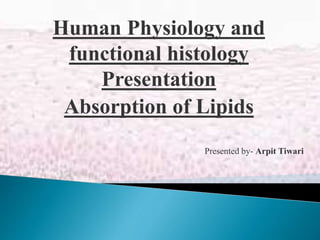 absorption of lipids | PPT