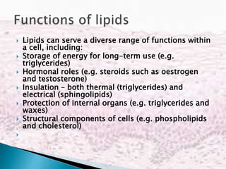 absorption of lipids | PPT