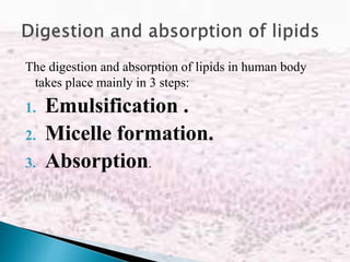 absorption of lipids | PPT