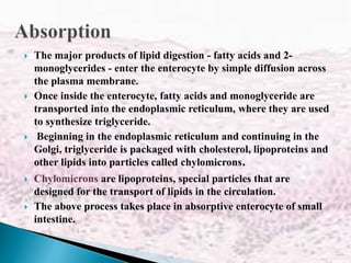 absorption of lipids | PPT