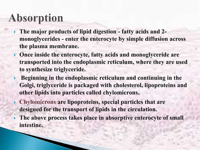 absorption of lipids | PPT