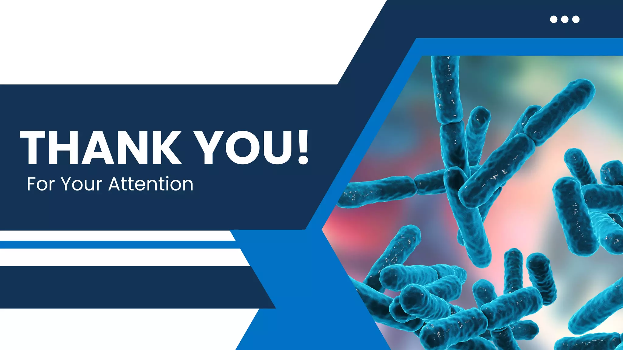 Understanding Probiotics' Impact On Gut Flora | PDF