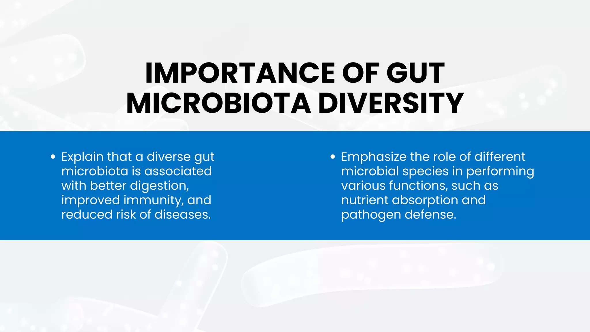 Understanding Probiotics' Impact On Gut Flora | PDF
