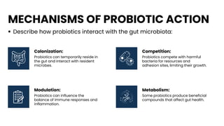 Understanding Probiotics' Impact On Gut Flora | PDF