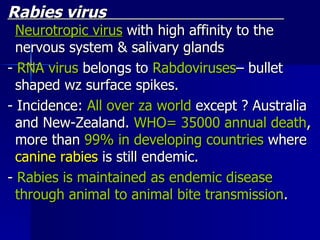 Human Rabies | PPT