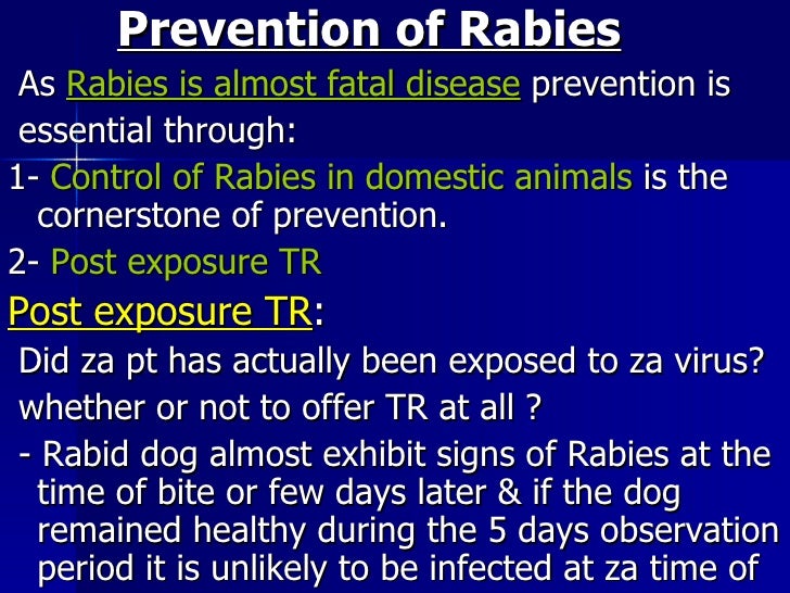Human Rabies