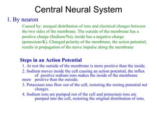 Human regulatory system 1 | PPT