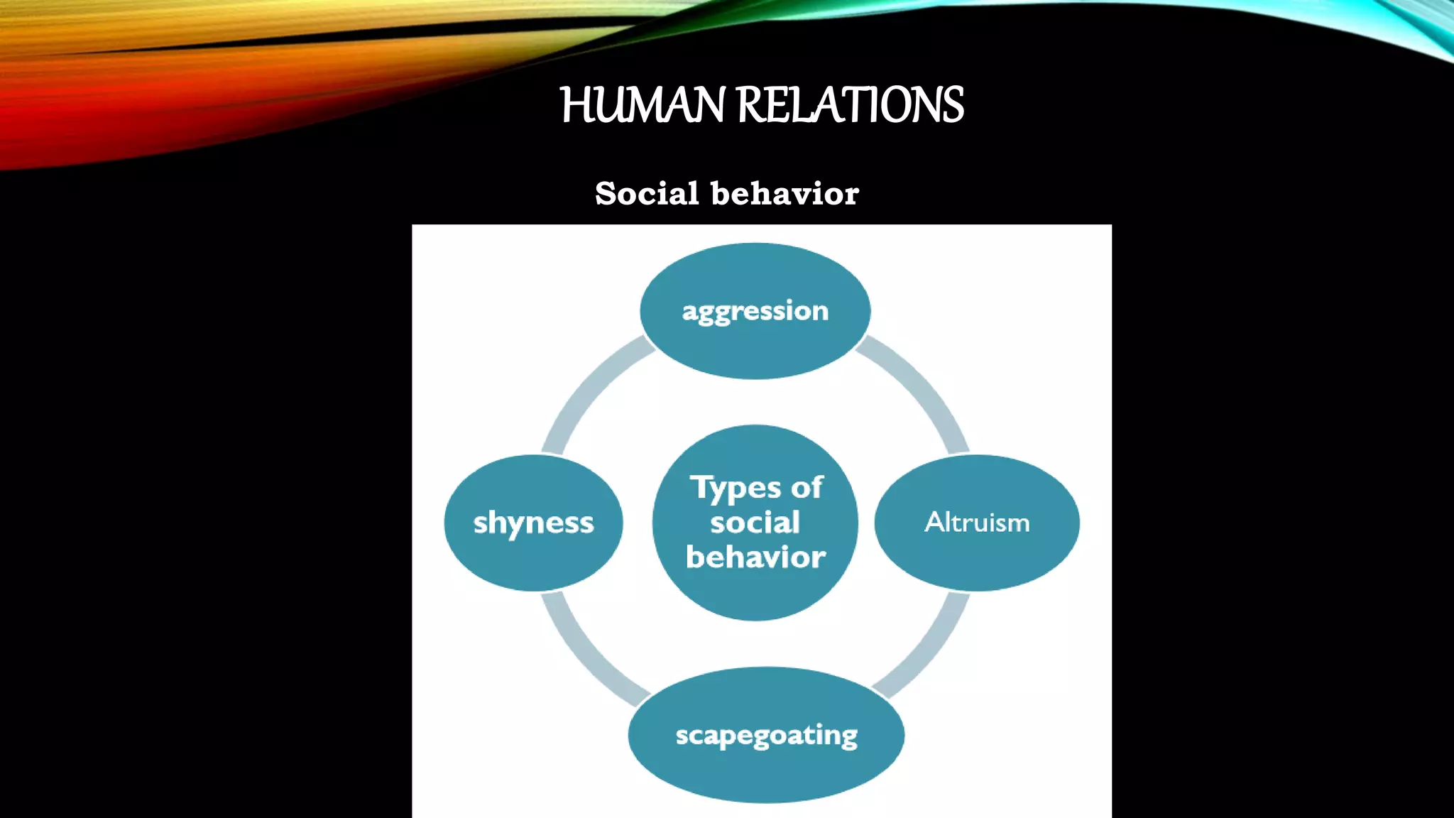 Human relations | PPTX