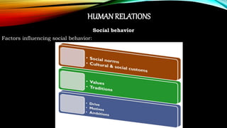 Human relations | PPTX