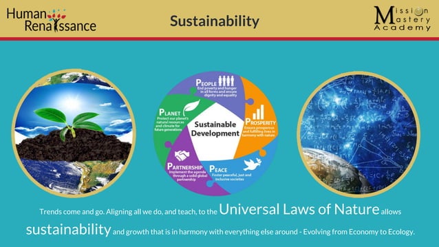 Human Renaissance Group Culture | PPT