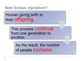 Human reproduce | PPT