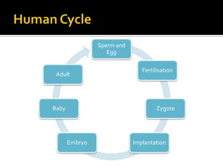 Human Reproduction | PPSX