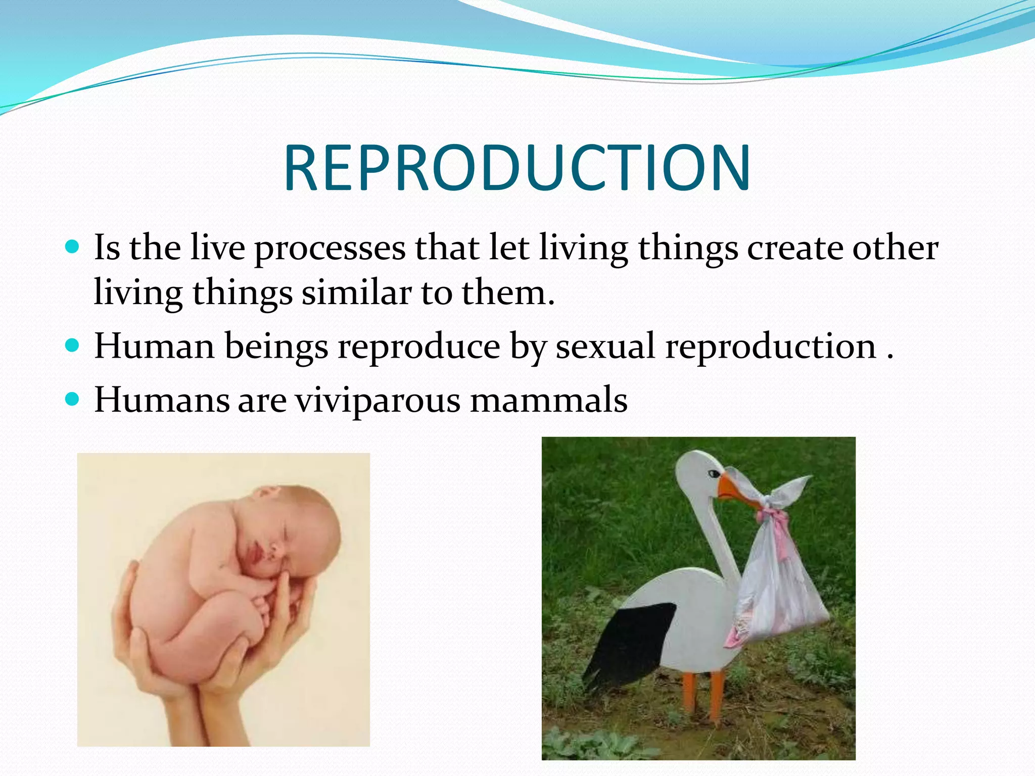 Human reproduction 6th by Andrea del Hoyo | PPTX