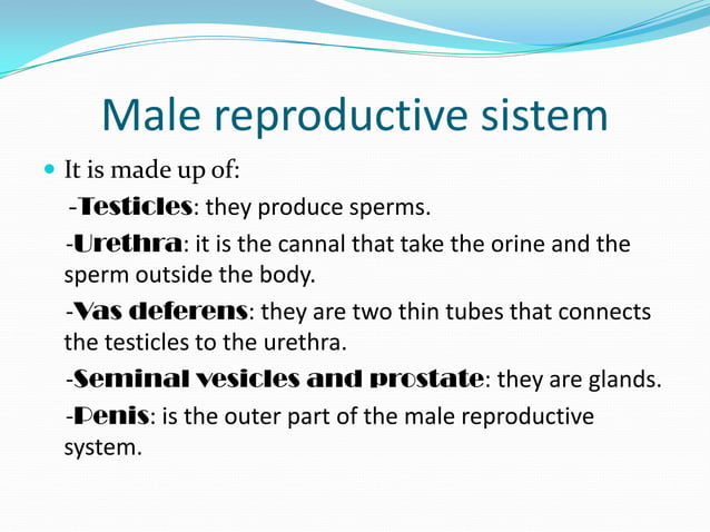 Human reproduction 6th by Andrea del Hoyo | PPT