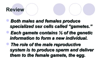 Human reproduction | PPT