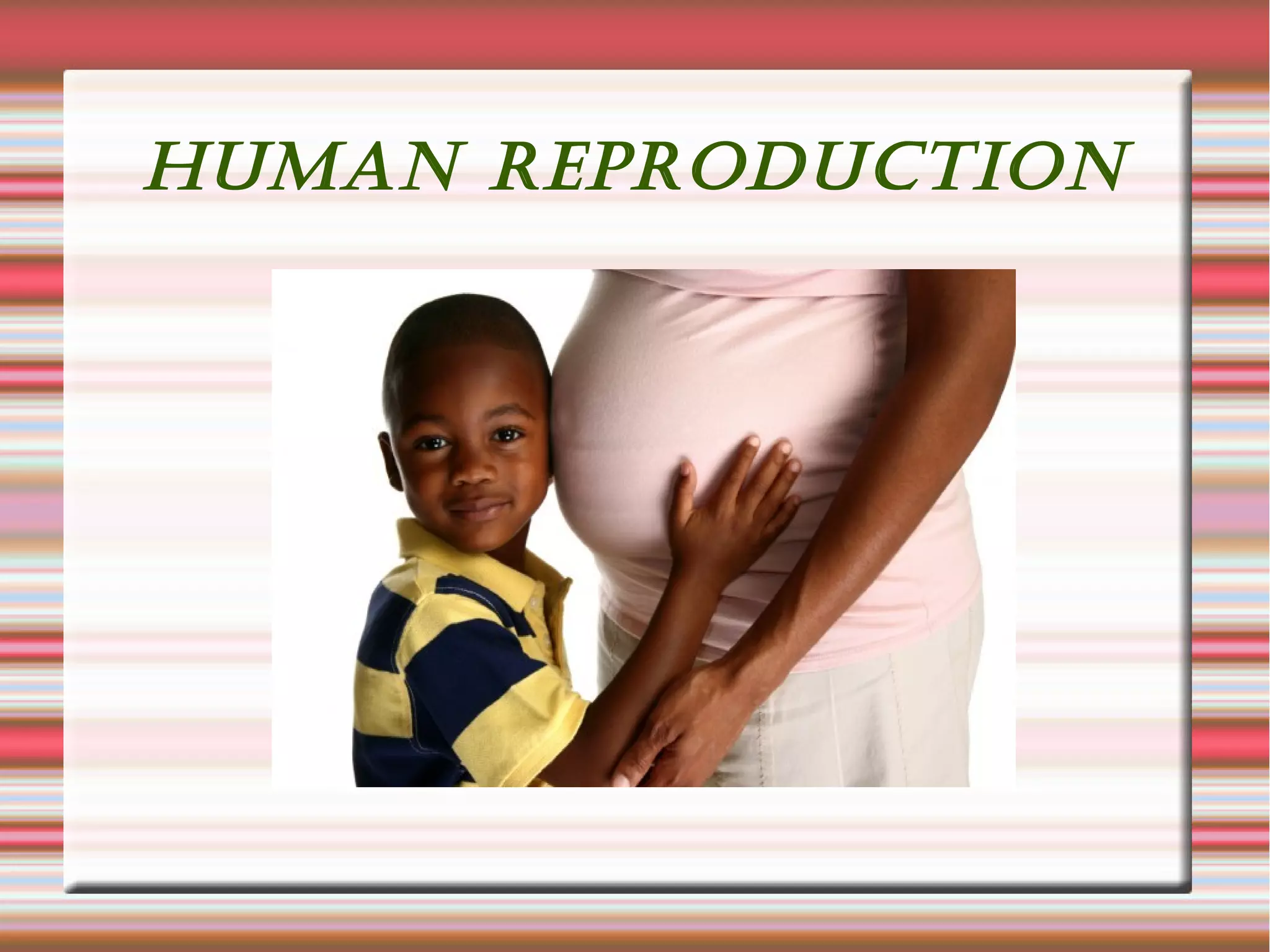 Human reproduction | PPT